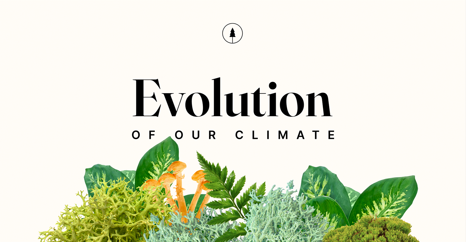 The Evolution of Our Climate as Described by David Attenborough