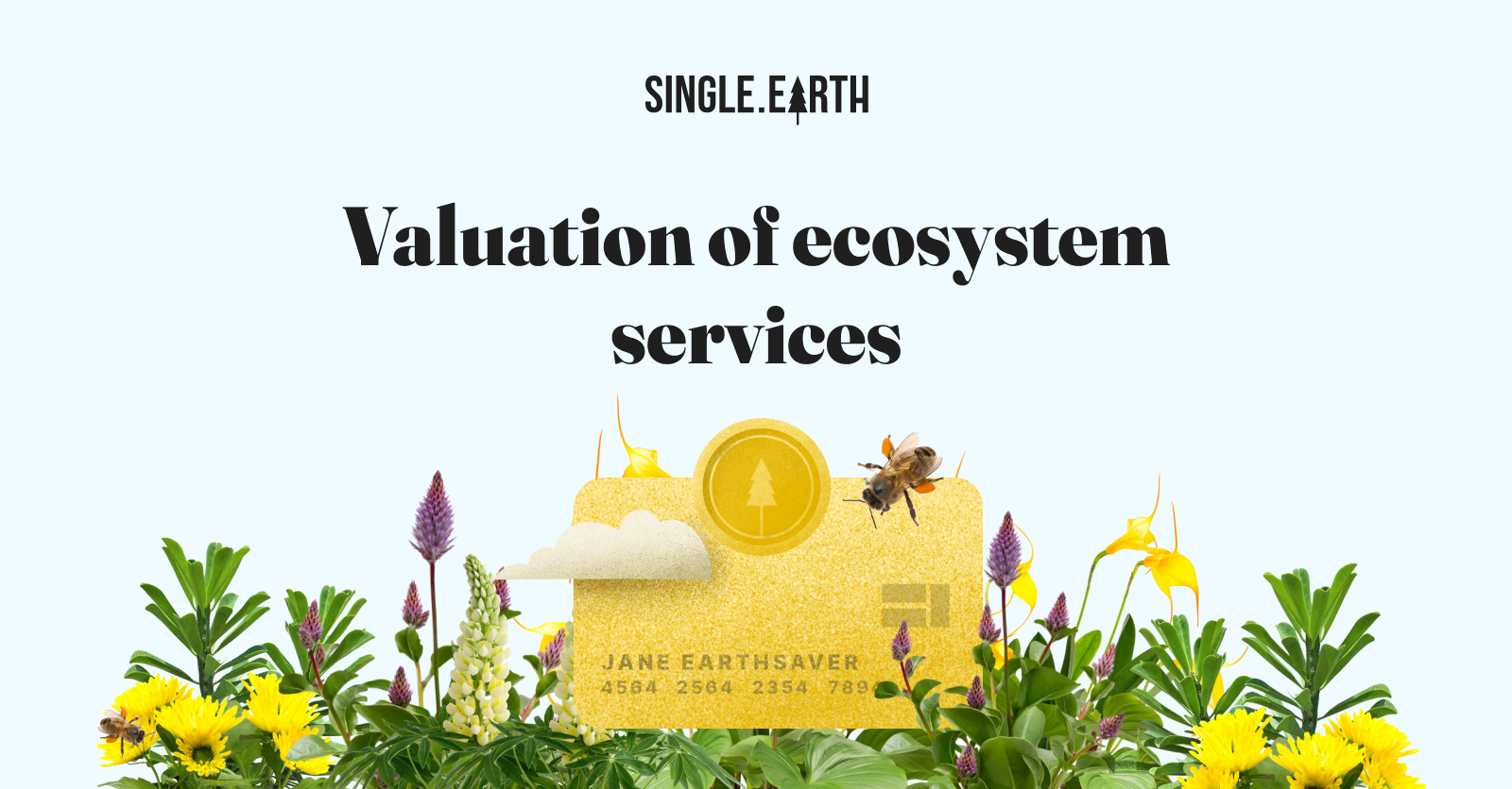 Valuing the Essential Ecosystem Services that Support Life on Earth