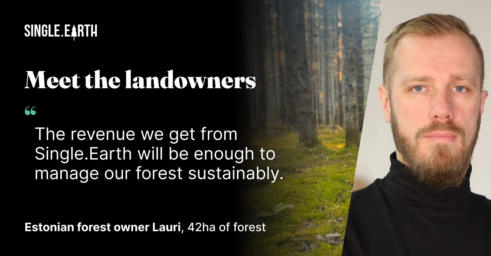 Estonian forest is preserved thanks to Single.Earth: earning money for ...