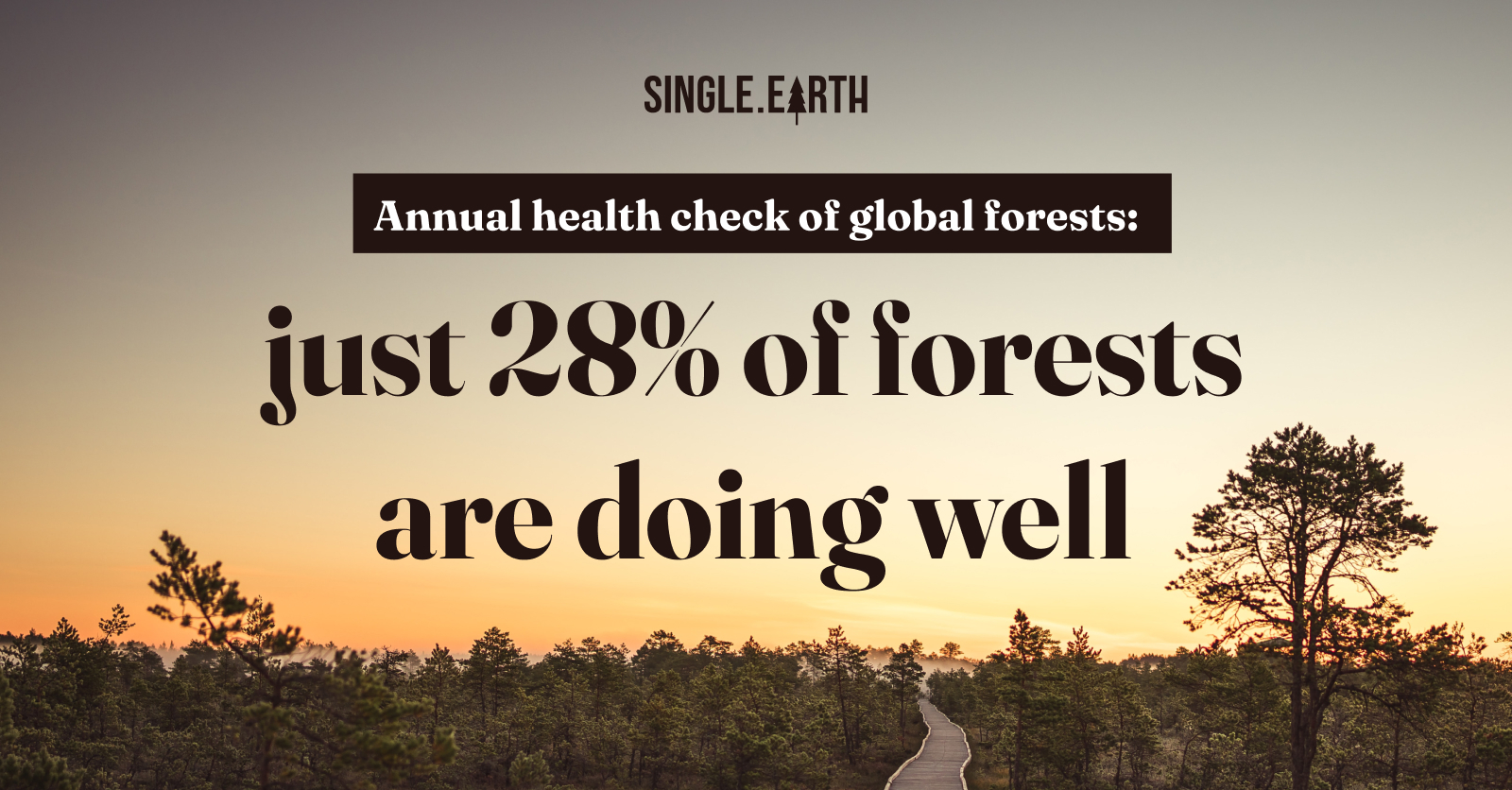 Annual health check of global forests: just 28% are doing well