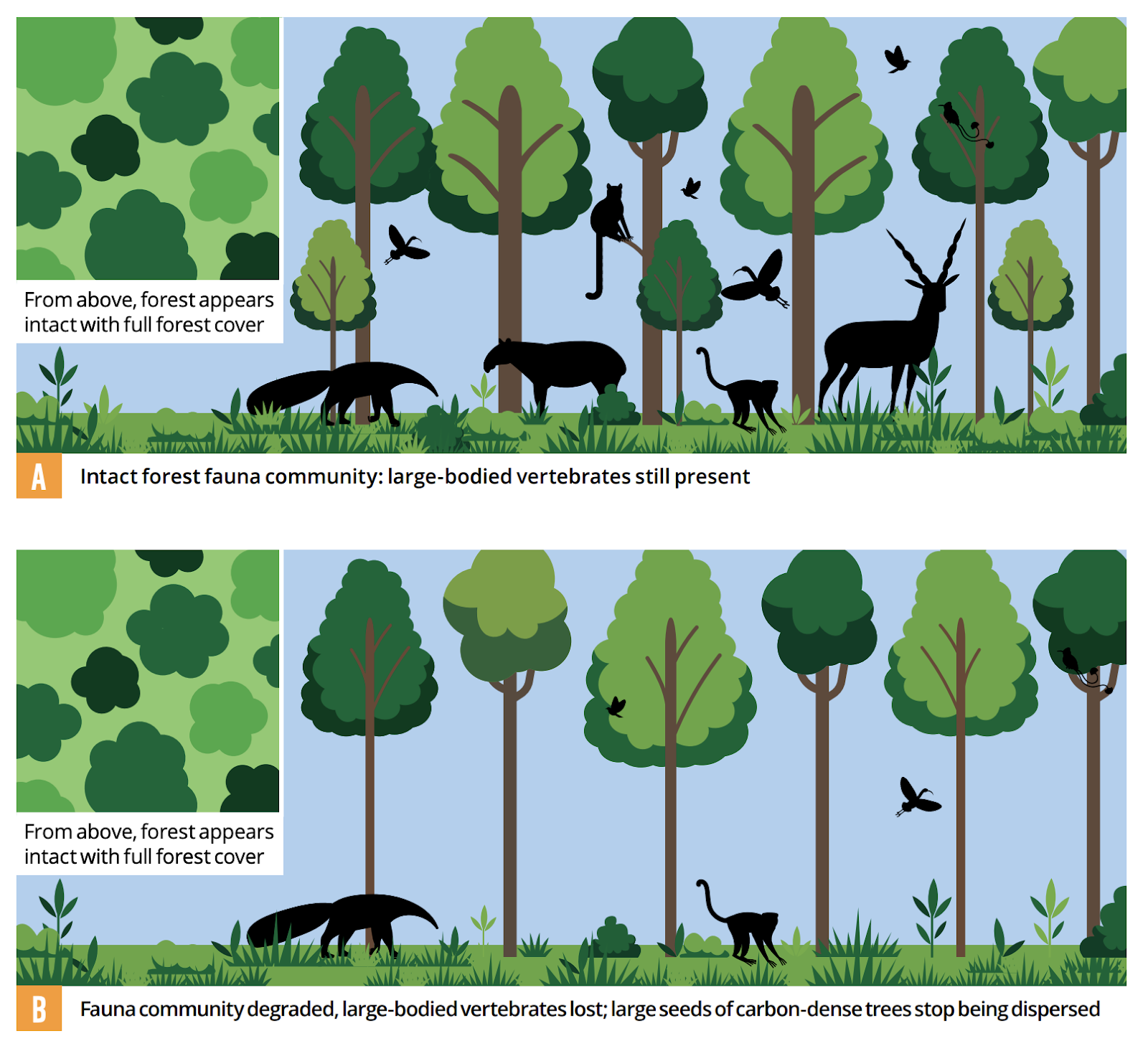 Introducing the Ecosystem Integrity Index (EII) by Single.Earth