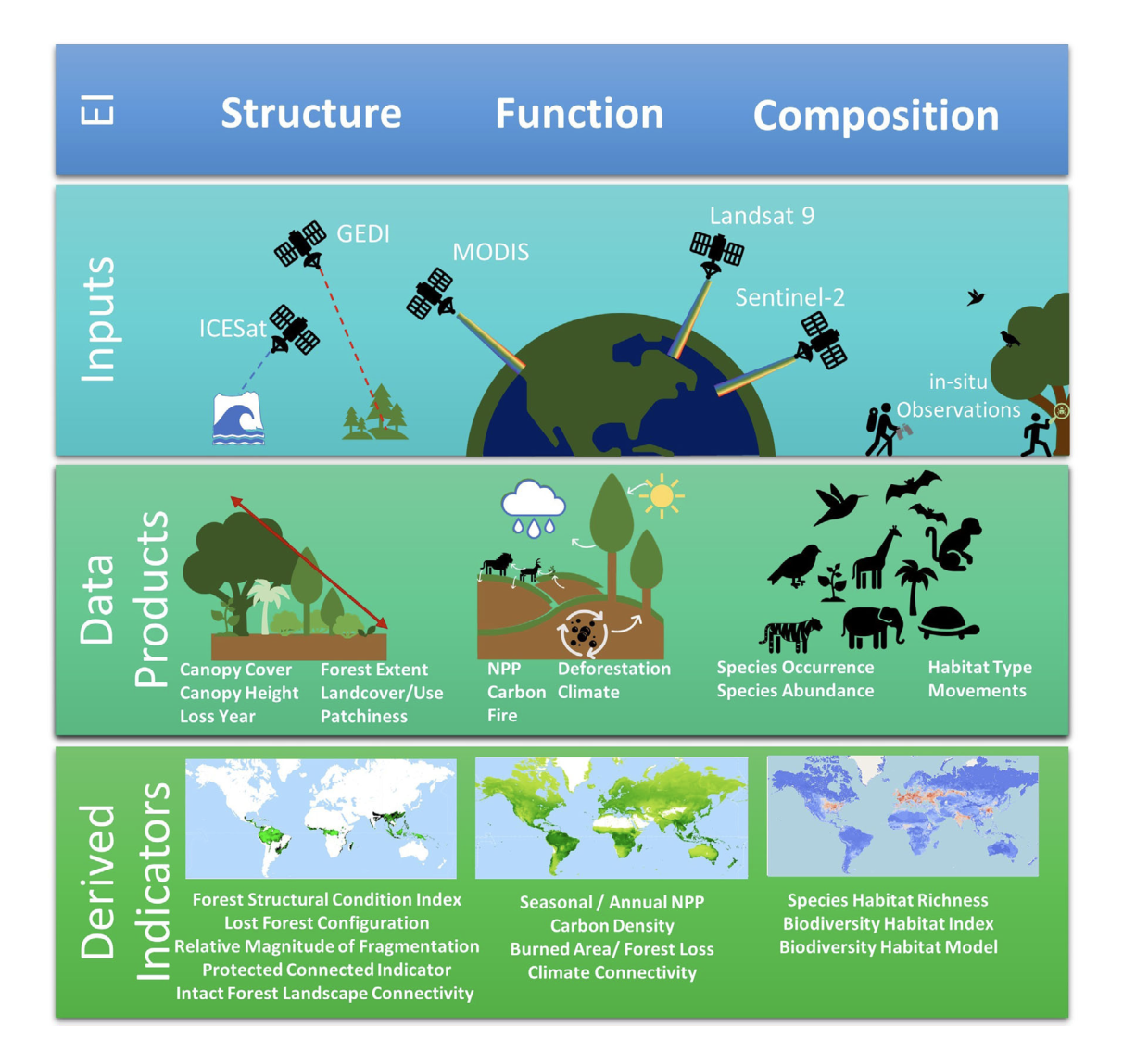 Introducing the Ecosystem Integrity Index (EII) by Single.Earth