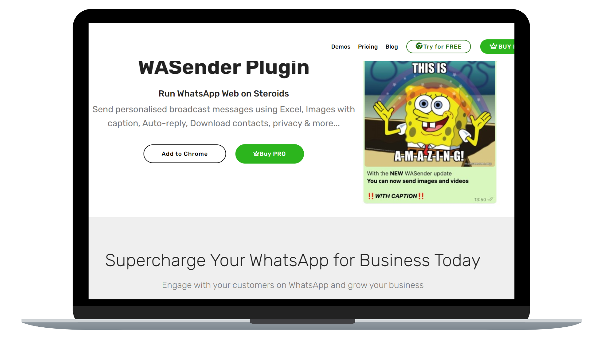 17 Amazing WhatsApp Automation Tools for Businesses in 2024