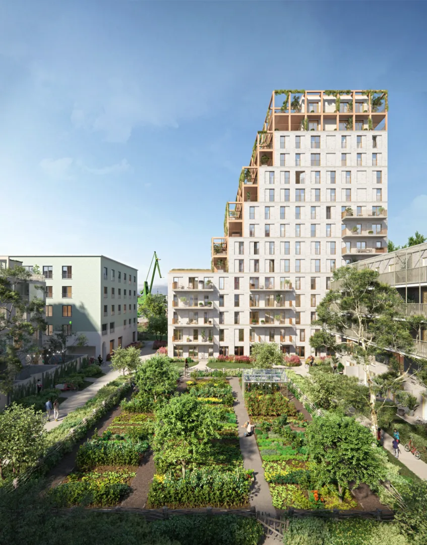 Roof Food gaat moestuinieren op De Nieuwe Dokken