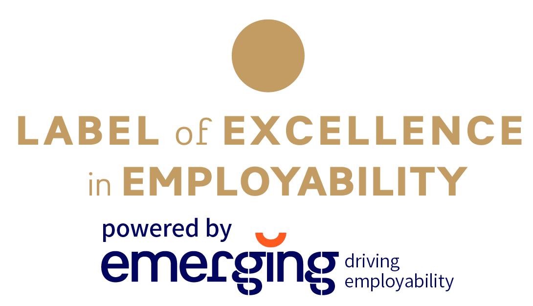 Emerging labels of excellence in graduate employabiity