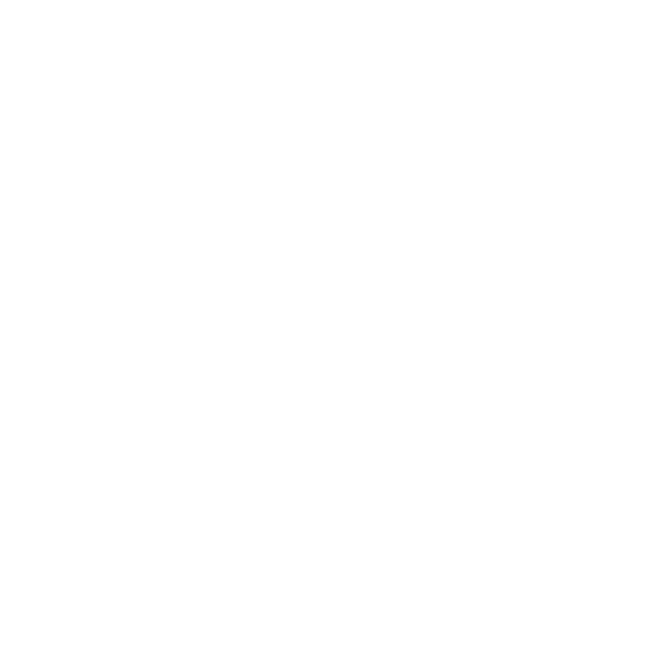 Building Sustainable Partnerships with Madison Energy Infrastructure