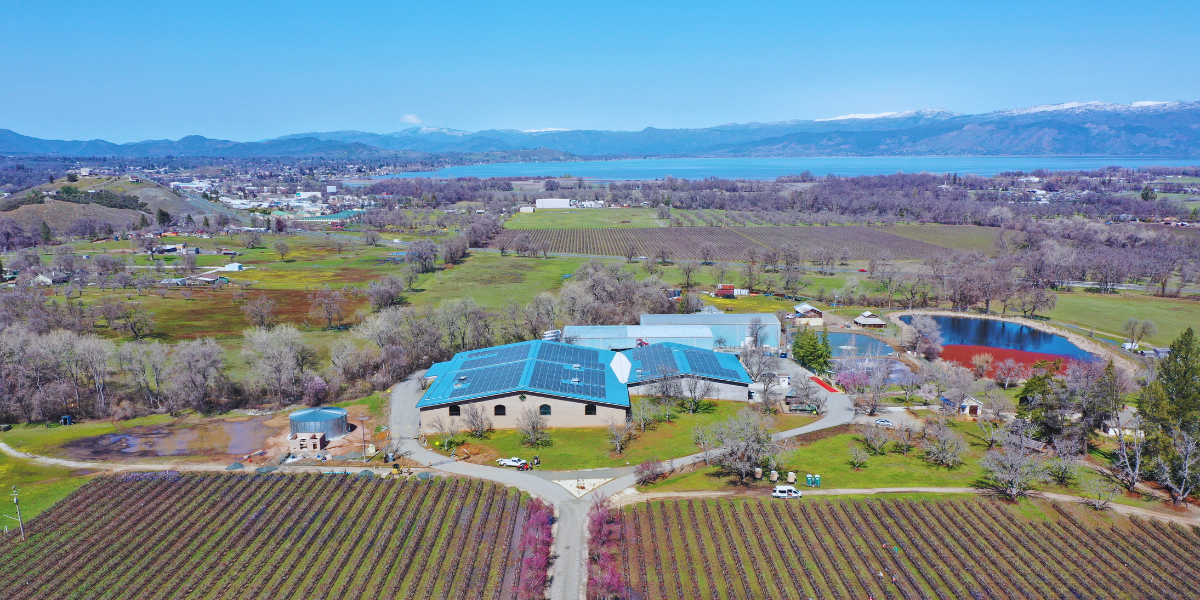 Jackson Family Wines