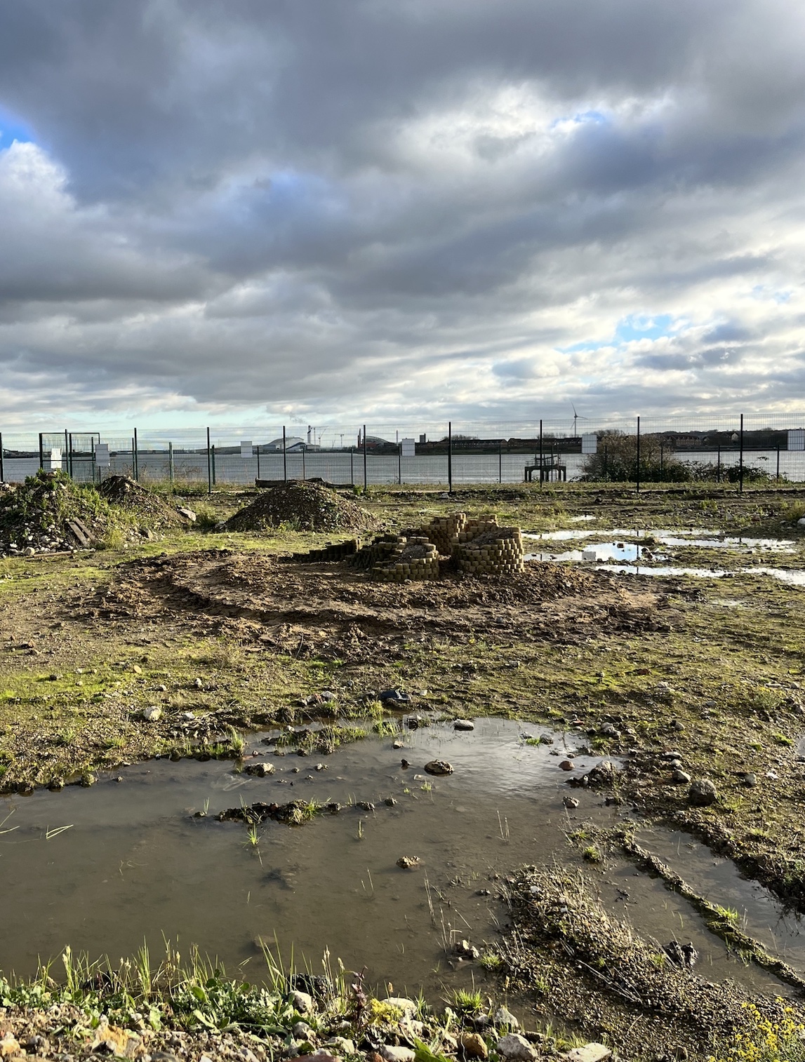 Garden Anthromes | Studio Biocene