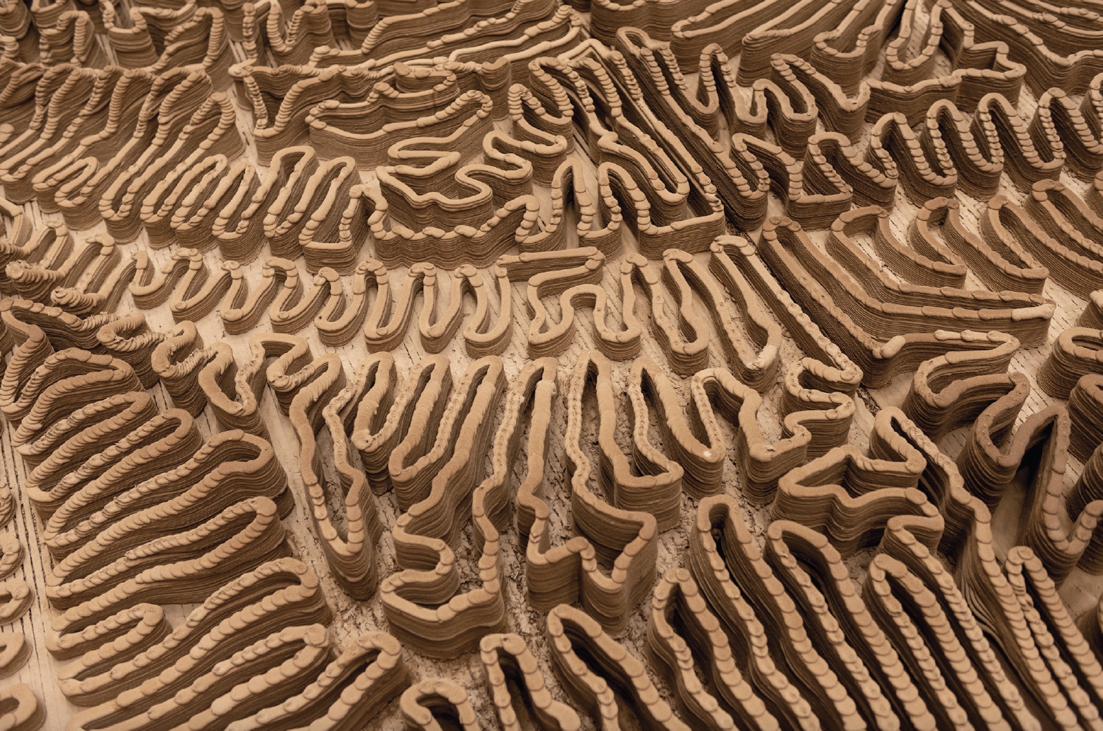 Calcareous Arabesque | Studio Biocene