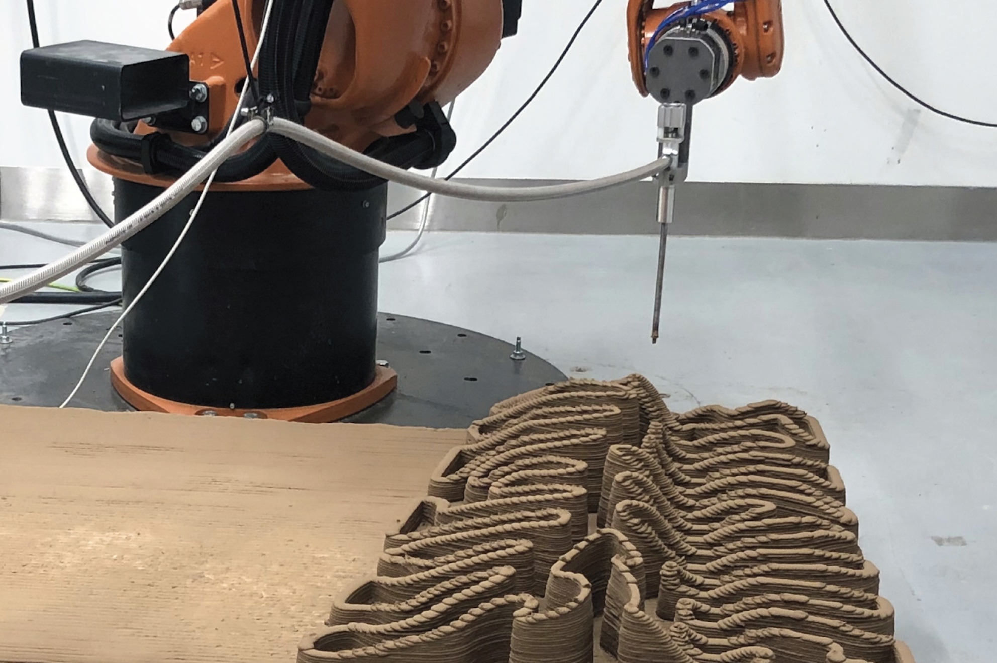 Calcareous Arabesque | Studio Biocene