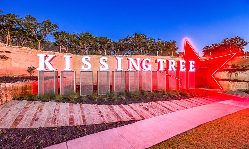 Kissing Tree | Chloe Chiang Top Central Texas Realtor