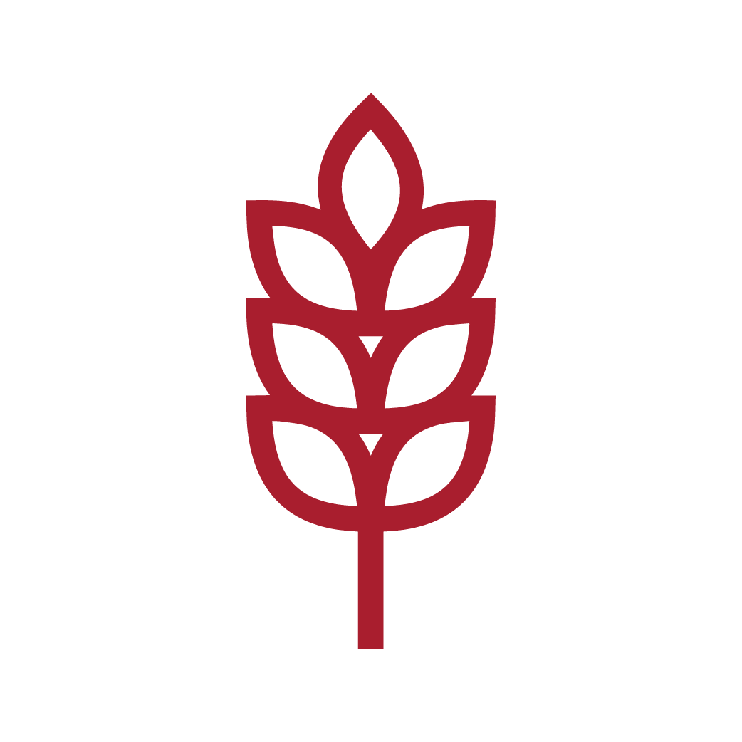 Dagger Falls IPA | Sockeye Brewing