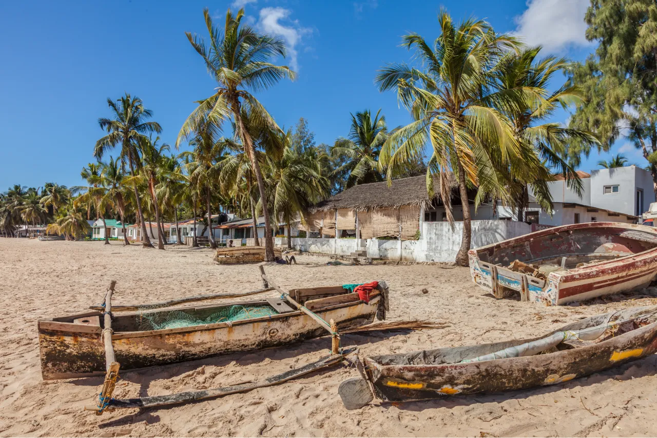 The Explorer Society | Mozambique