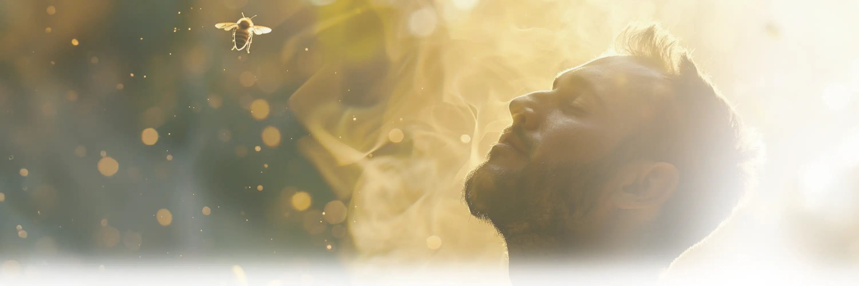 Brahmari Pranayama: Entdecke die heilende Bienenatmung