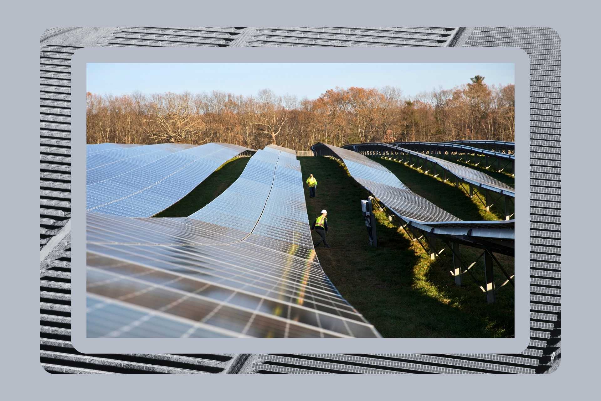 Could community solar be a promising partner for virtual power plants ...