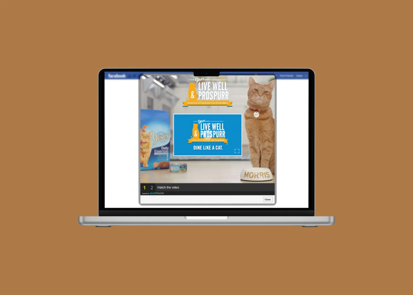 9 Lives Charity Campaign: Responsive Design for Cat Food Donations by ...