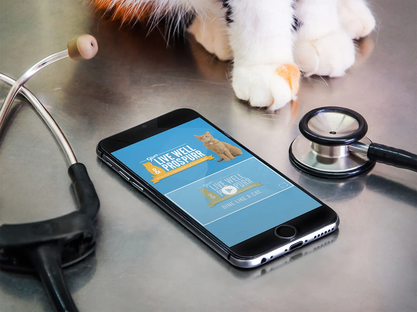 9 Lives Charity Campaign: Responsive Design for Cat Food Donations by ...