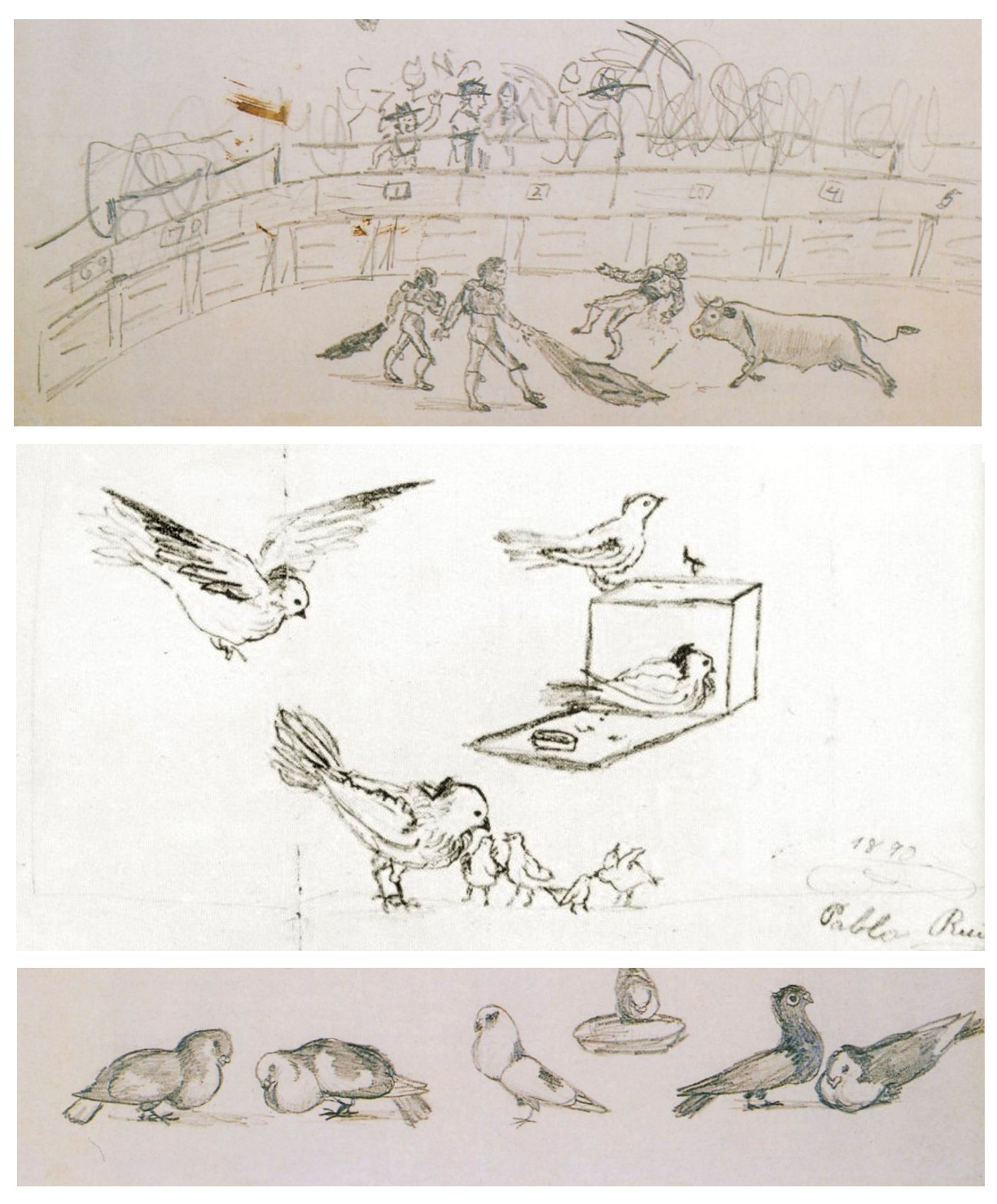 The Picasso You Didn’t Know: Pablo Picasso’s Illustration and Design ...