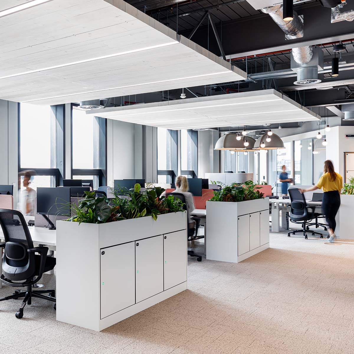 Day2 Project: McKinsey