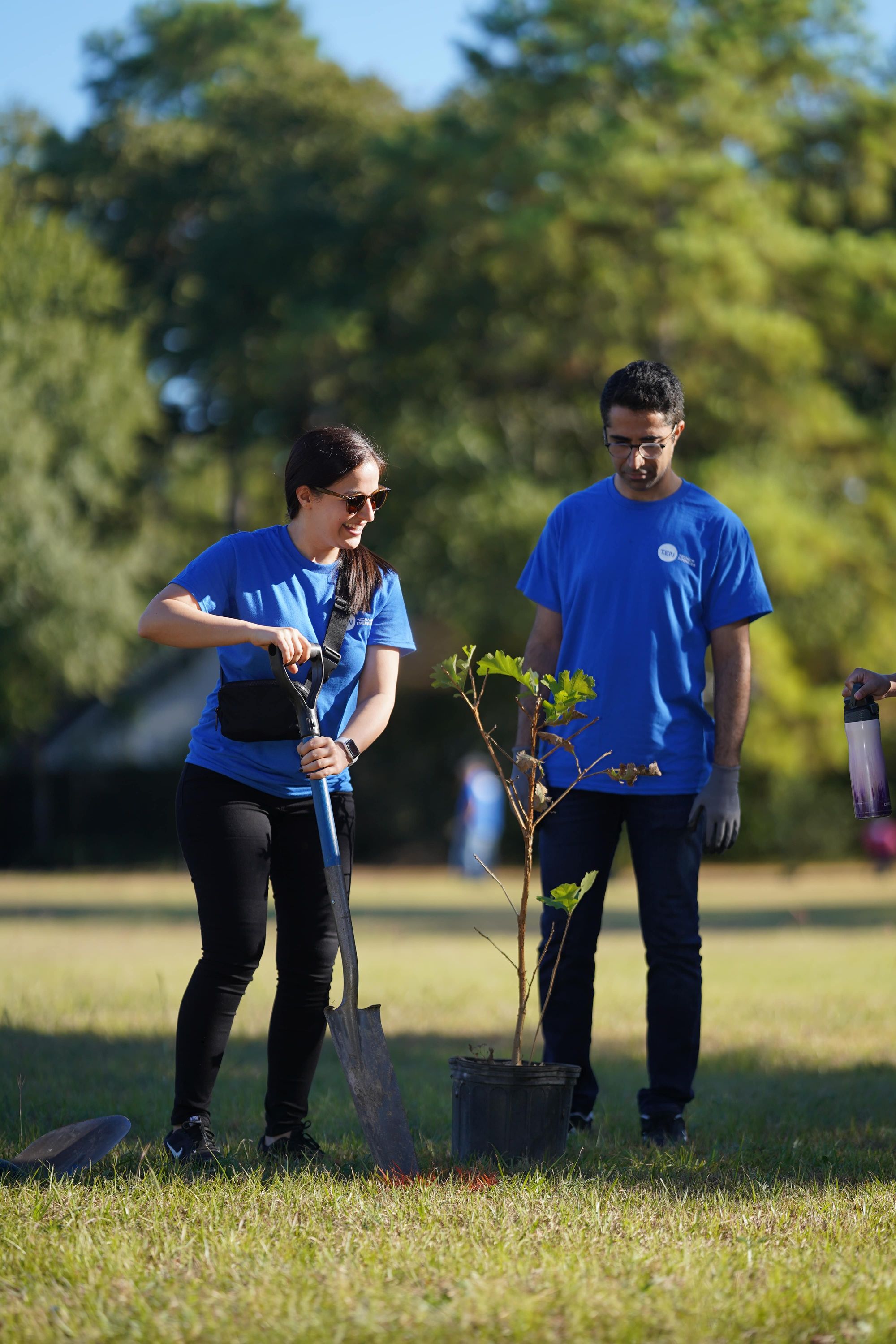 Corporate Sponsorships | Reforestation + Habitat Restoration Efforts ...