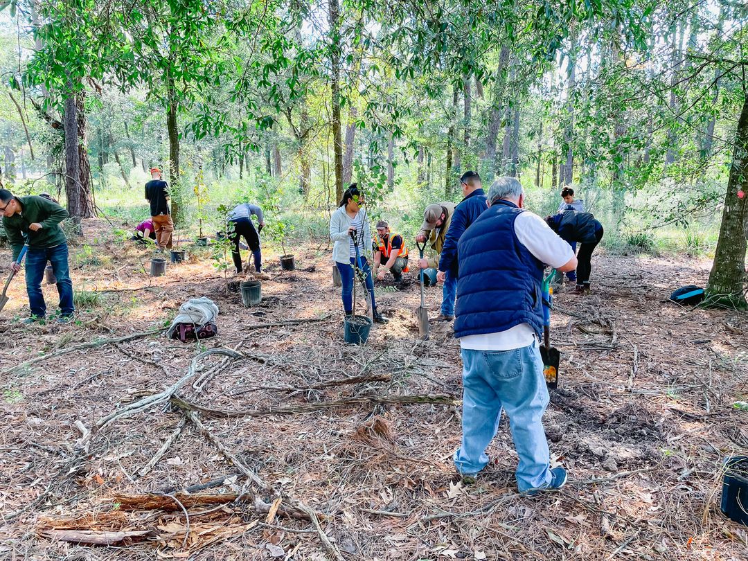 Relive our Memorial Park | Reforestation + Habitat Restoration Efforts ...