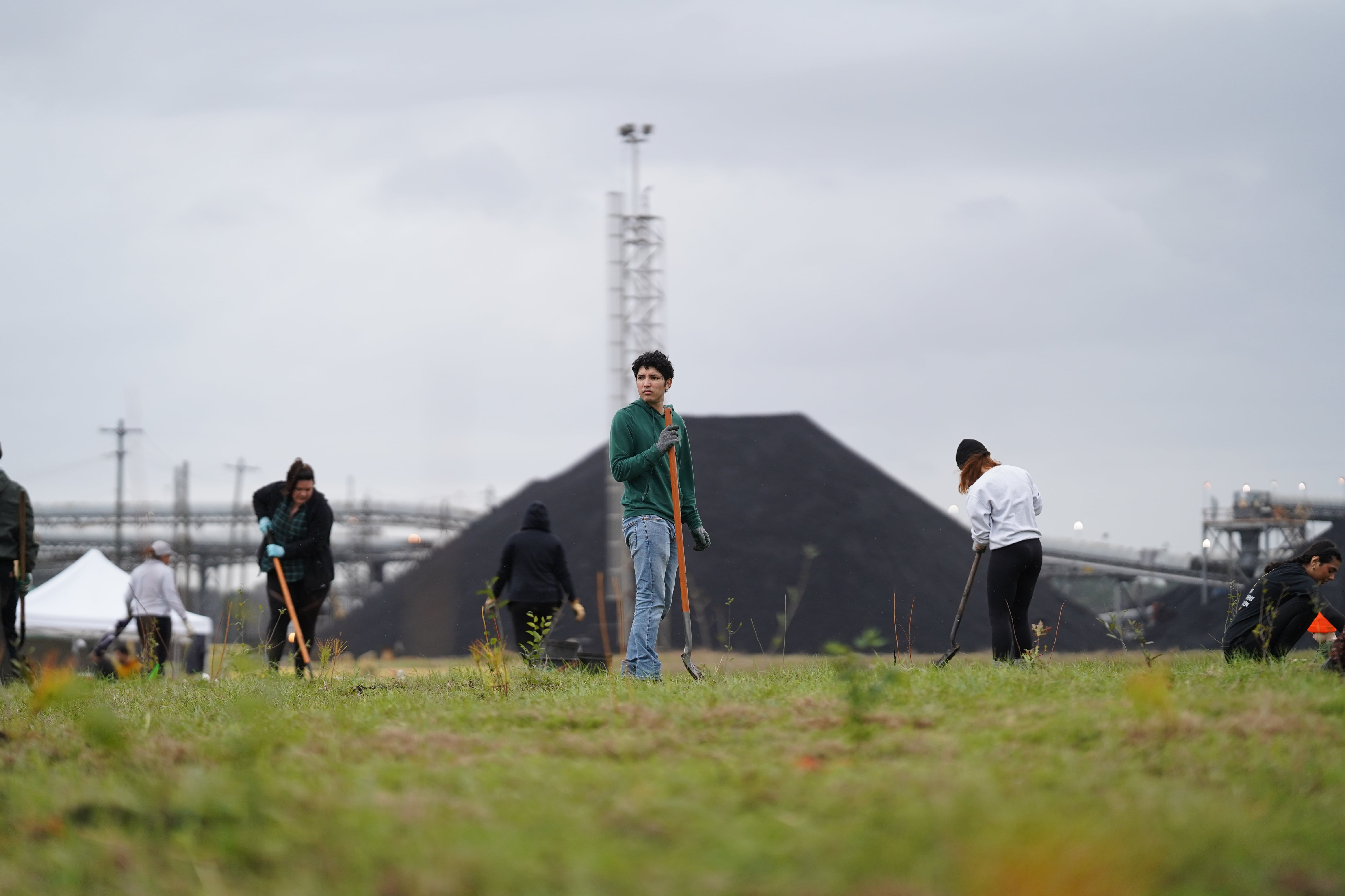 Livelihood Projects | Reforestation + Habitat Restoration Efforts