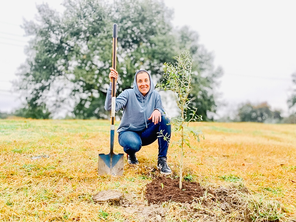 Relive our Arthur Storey Park | Reforestation + Habitat Restoration ...