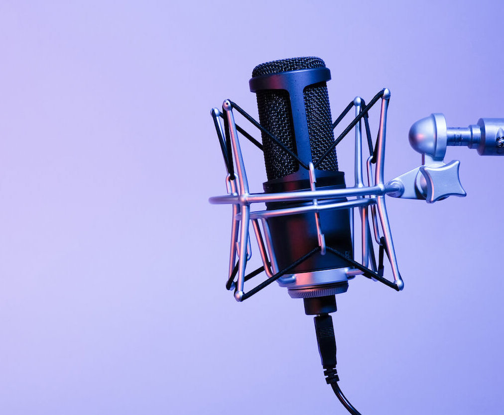 Voice-activated Systems | KitelyTech