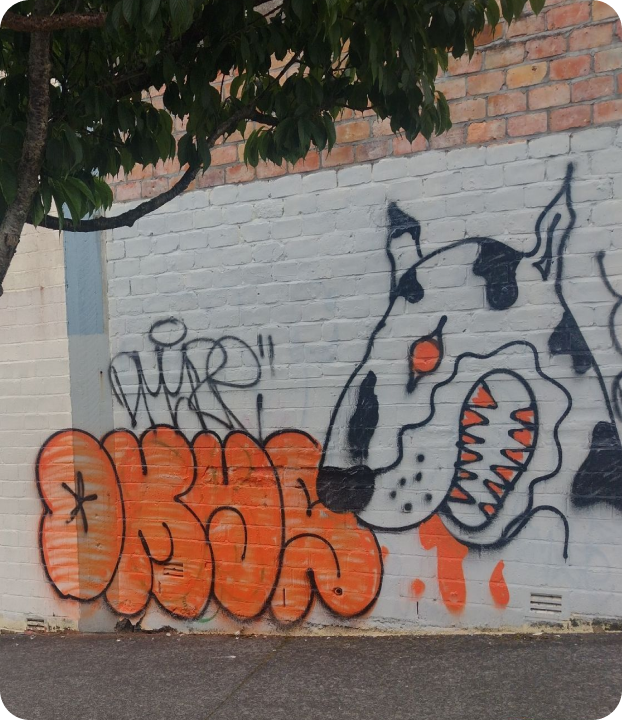 Big Spring Clean: Graffiti Week