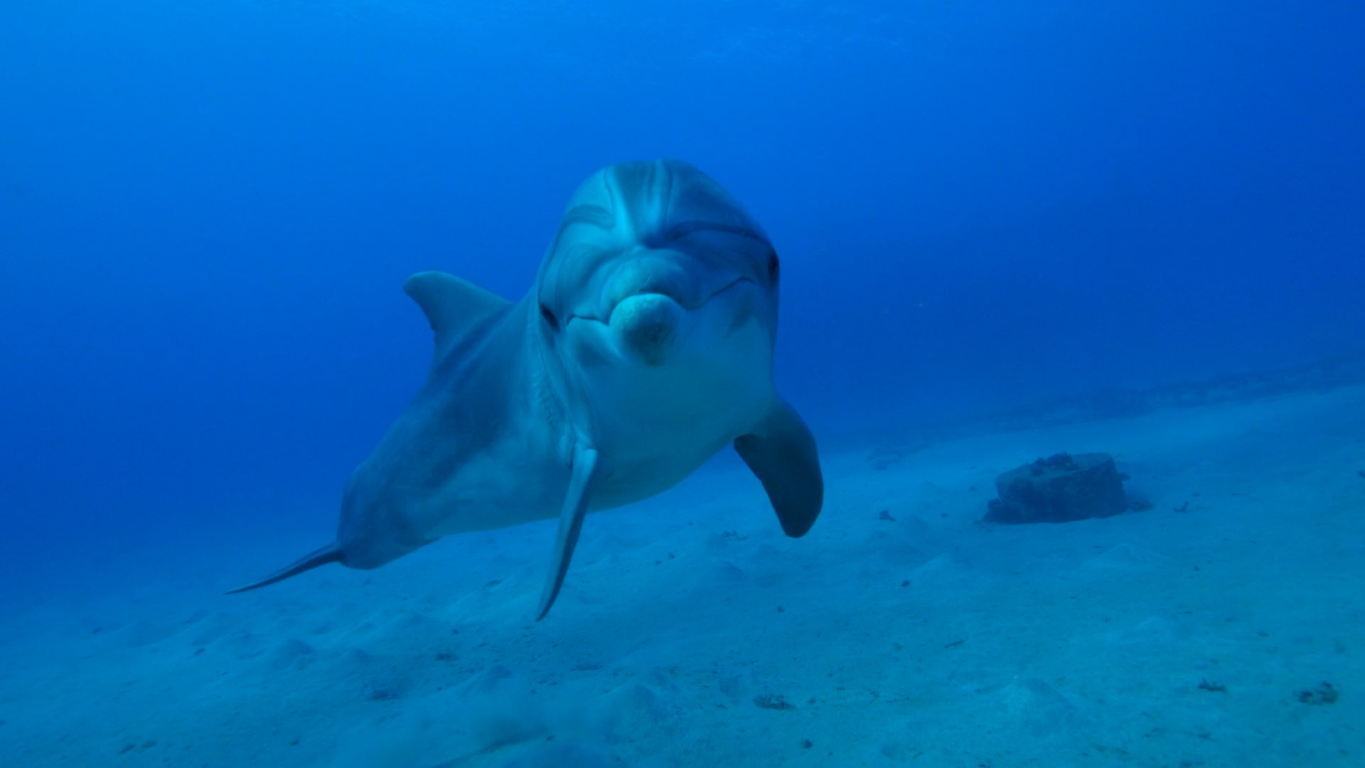 Ocean Waste Plastic | Contact