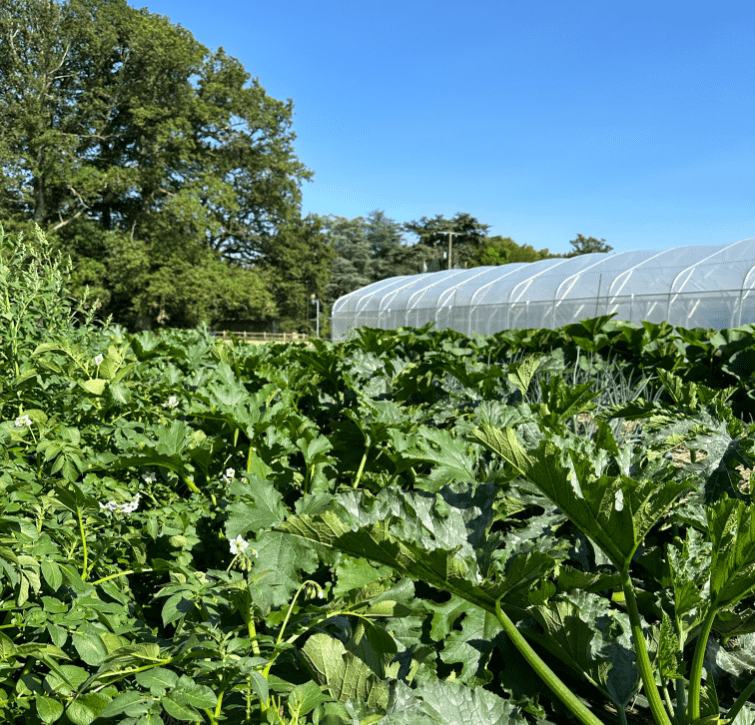 La Ferme de Lignerolles