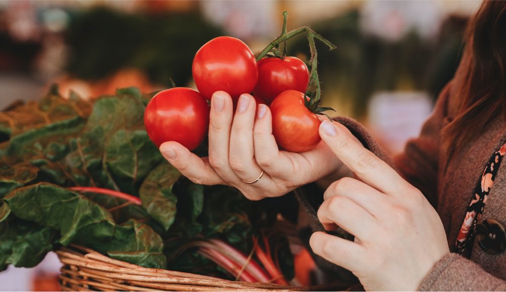 Cold Chain Freshness Management