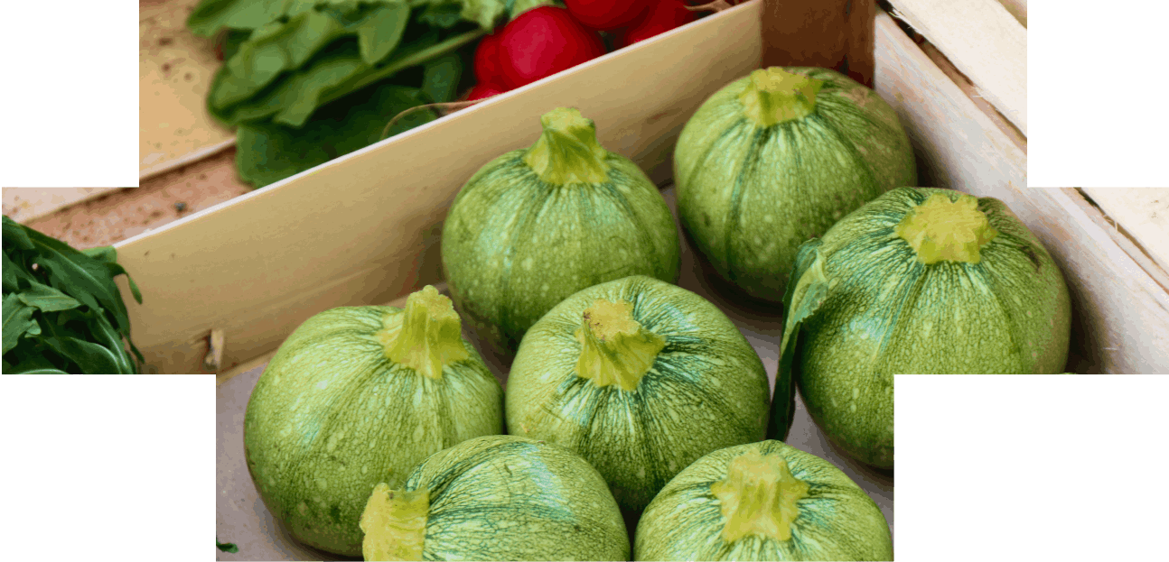 Last mile freshness management