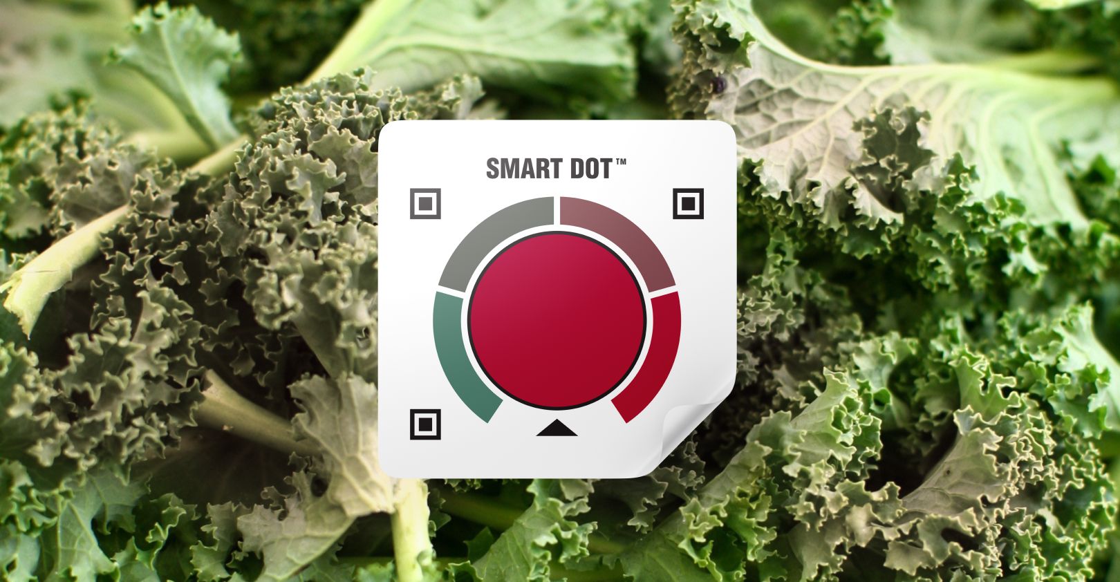 Cold Chain Freshness Management