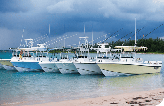 Bluewater 23T: The Fishing Essentials