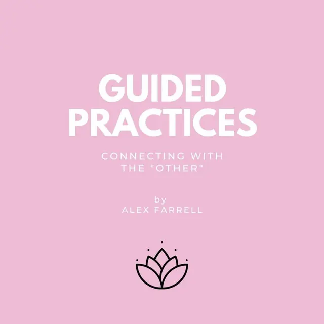 Guided Practices: Connecting with the "Other"