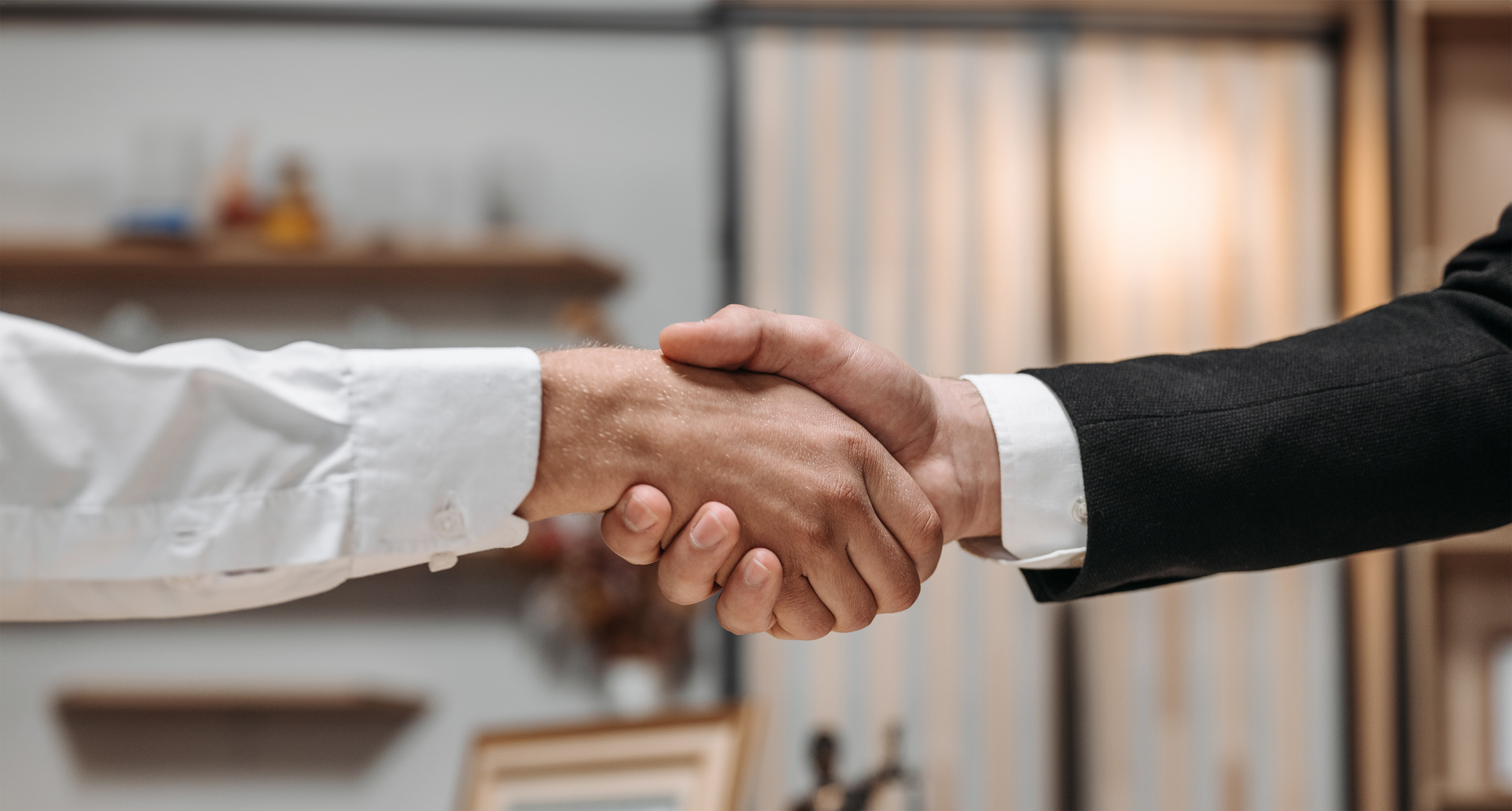 Our Process | Execution | Dotzler Law