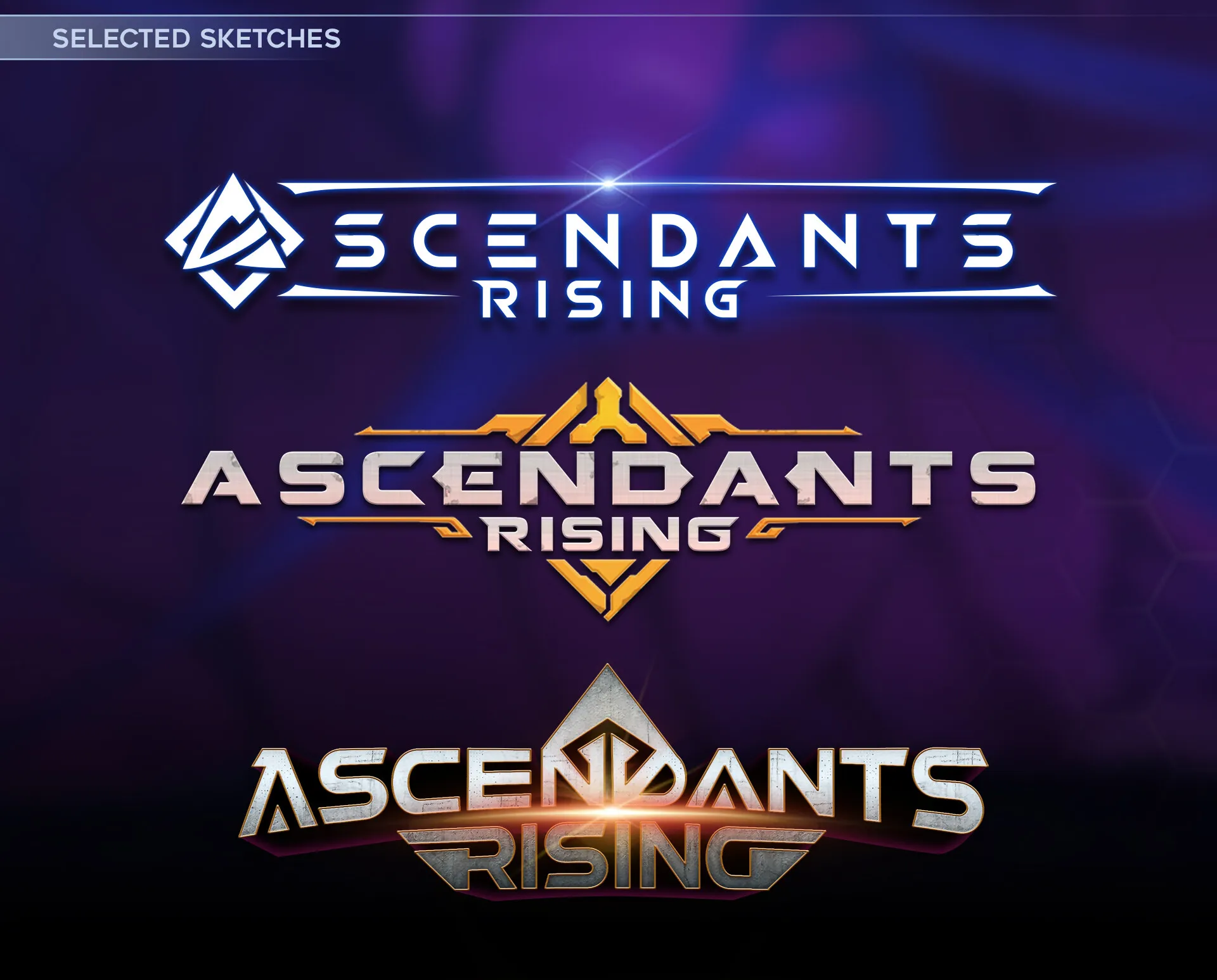 ASCENDANTS RISING - Project — PUNCHev Group