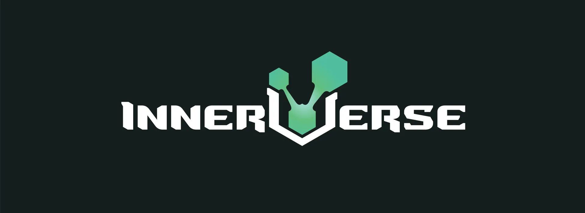 INNERVERSE (DOCTOR NANO) - Project — PUNCHev Group