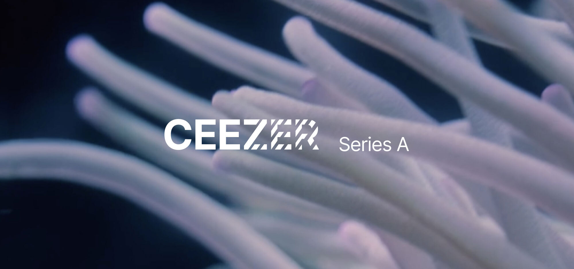 CEEZER secures €10.3M in series A funding