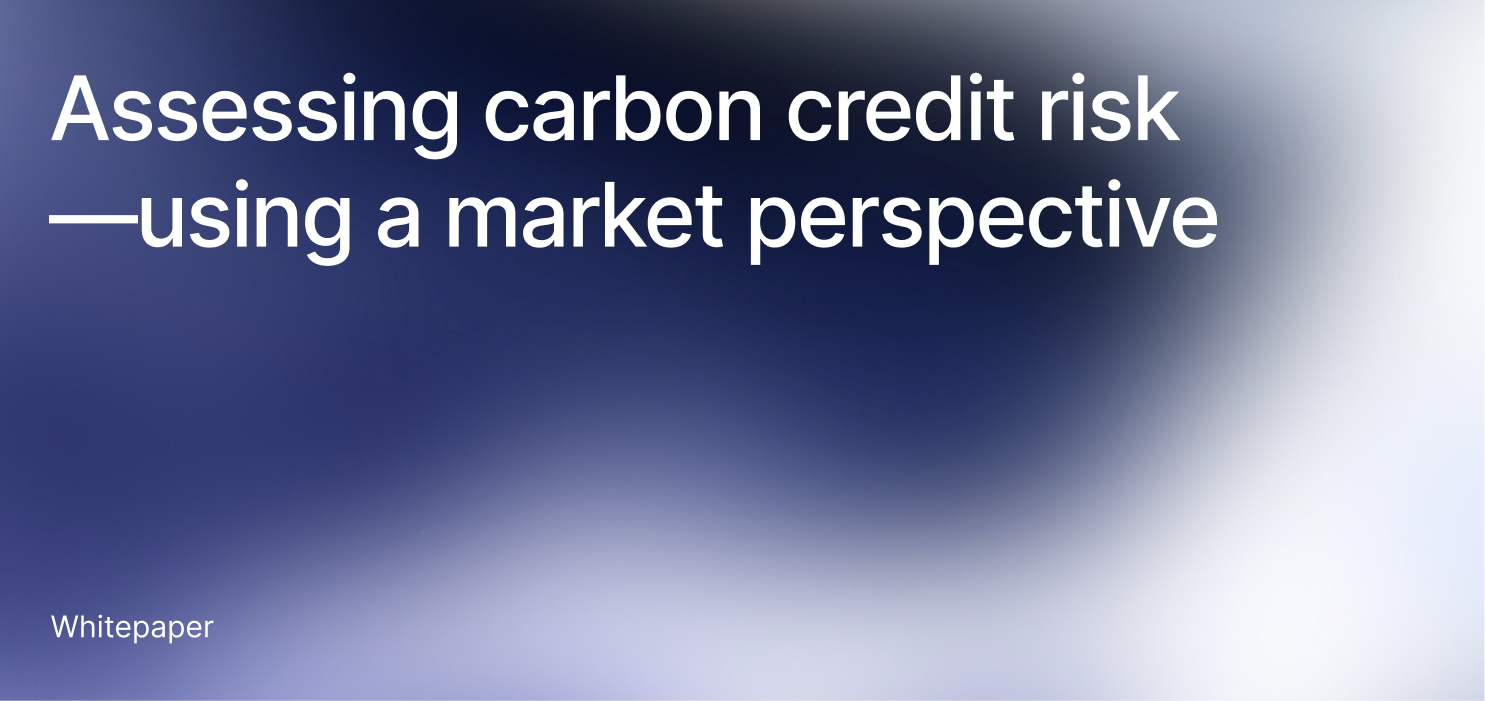 White paper: Assessing carbon credit risk