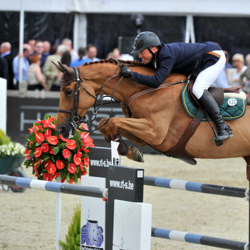 Fokkerij De Léau | Hof ter Leeuwe