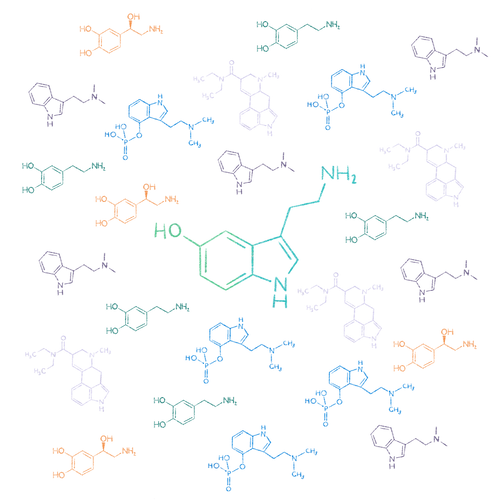 Lin Tian Lab - Max Planck Florida Institute for Neuroscience - Research