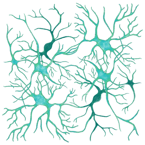 Lin Tian Lab - Max Planck Florida Institute for Neuroscience - Research