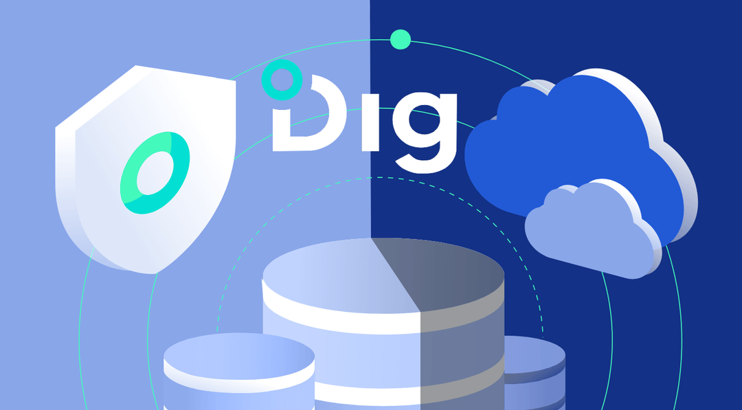 The need for real-time data monitoring: Leading $34M for Dig Security