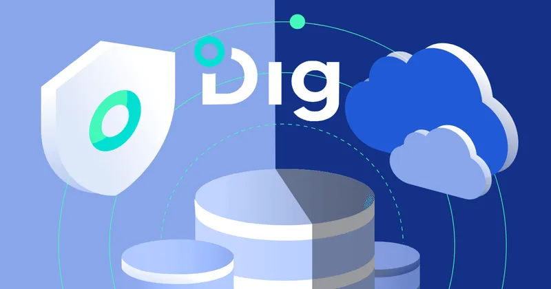 The need for real-time data monitoring: Leading $34M for Dig Security