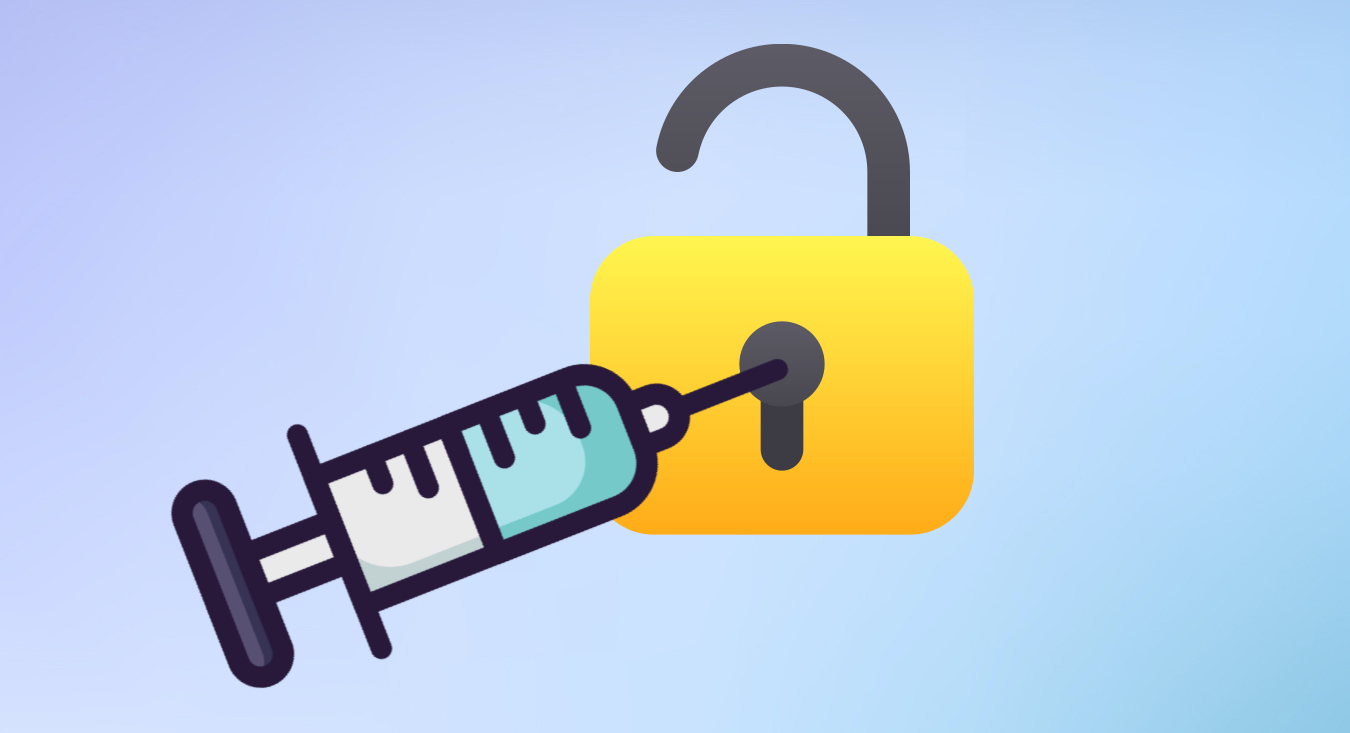 We Need Startups To Fight Prompt Injection The Top Llm Security Risk Ai Venture Capital