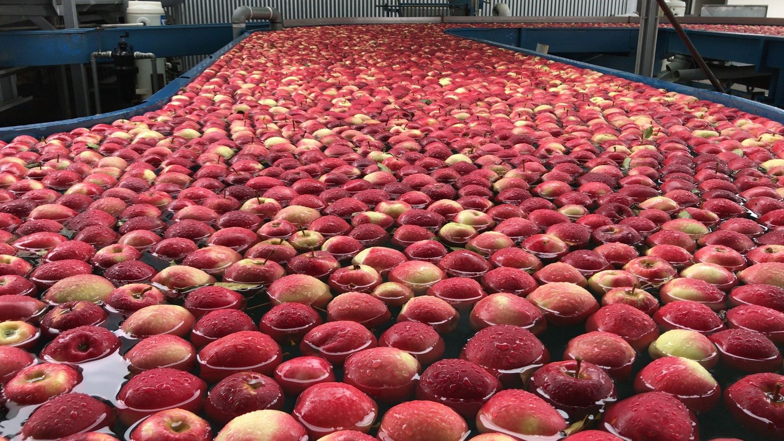 Work With Us! | Freshco