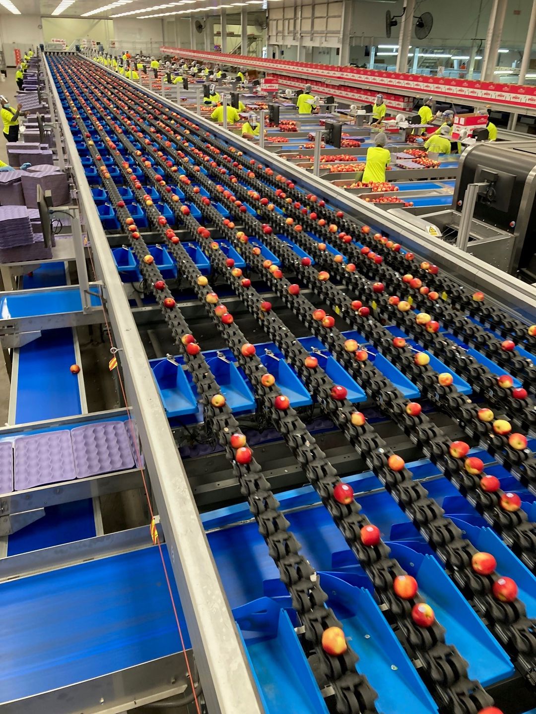 Work With Us! | Freshco