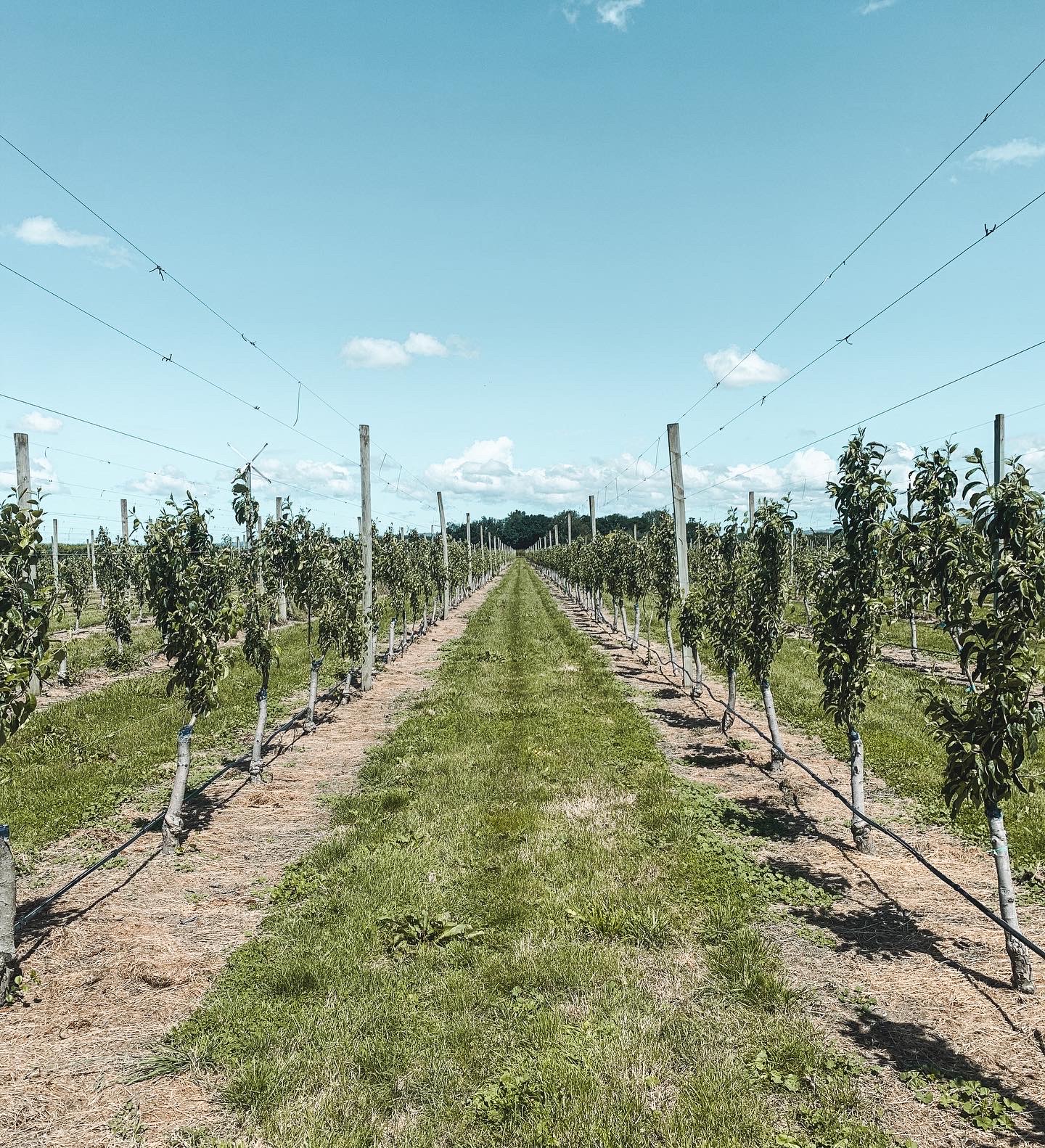 Work With Us! | Freshco